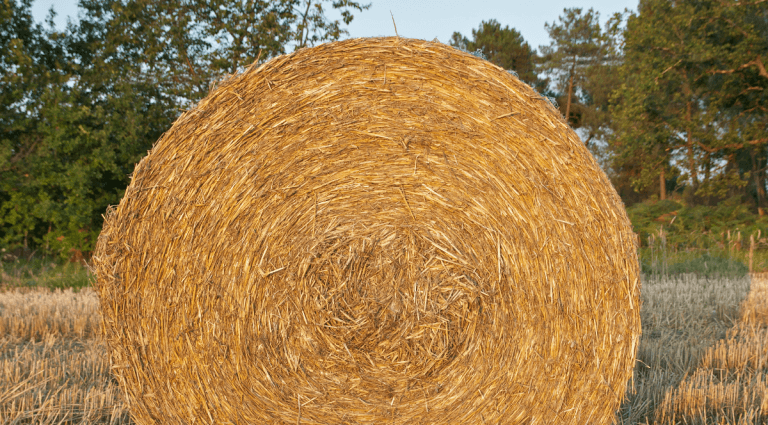 Building an effective data culture | Ortecha - data made human