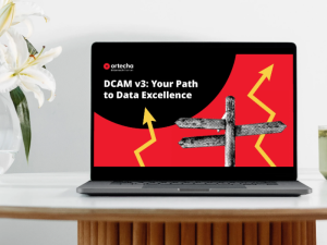 DCAM Assessment | Data Management Capability Experts | Ortecha - data ...